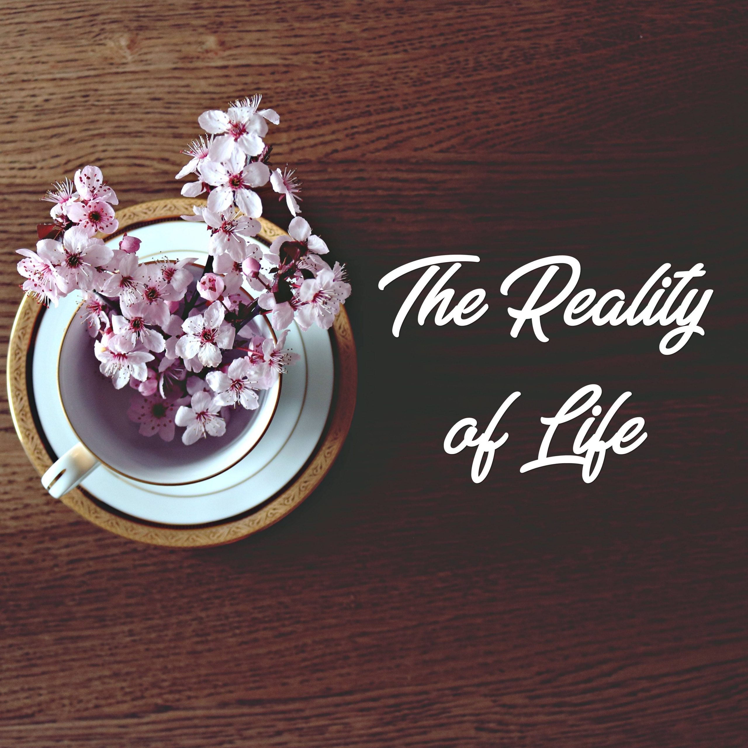 What Is The Reality Of Life AhmedRC What Is The Reality Of Life AhmedRC